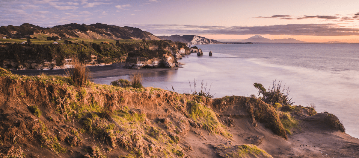 News about insurance and Kiwisaver – Wealthpoint Aurora